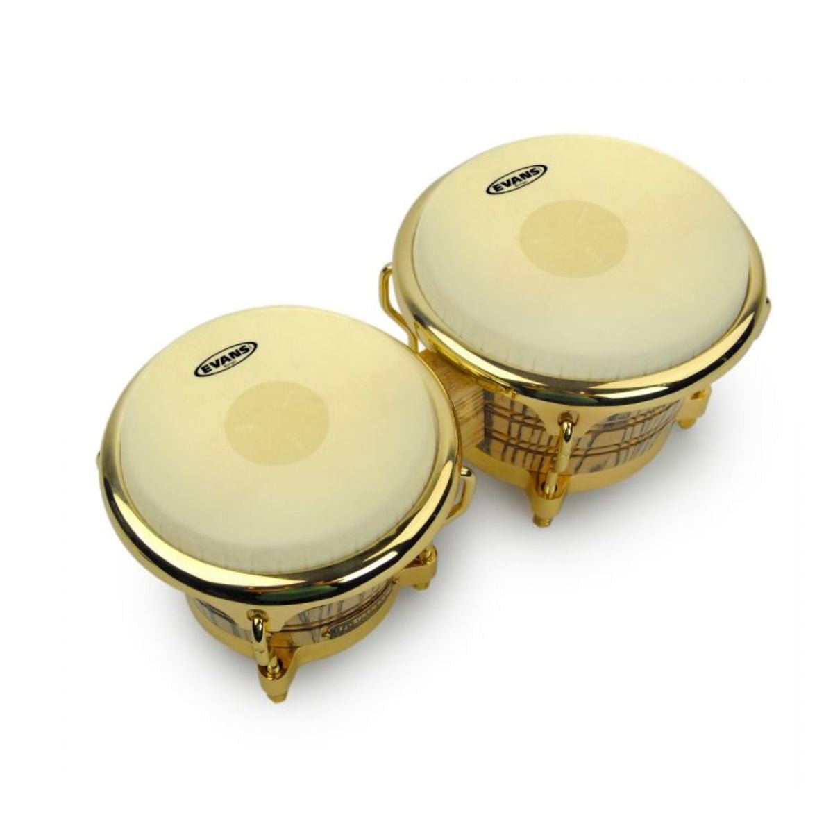Evans Tri-Center Bongo Drum Head Pack, 7 1/4 and 9 5/8 Inch – gjmsound
